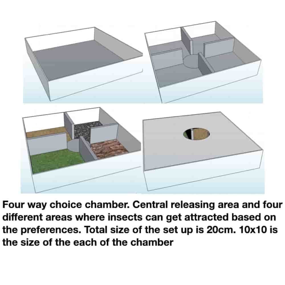 Choice Chamber for Arthropod Preference Tests | 20cm 4-Chamber insect ...