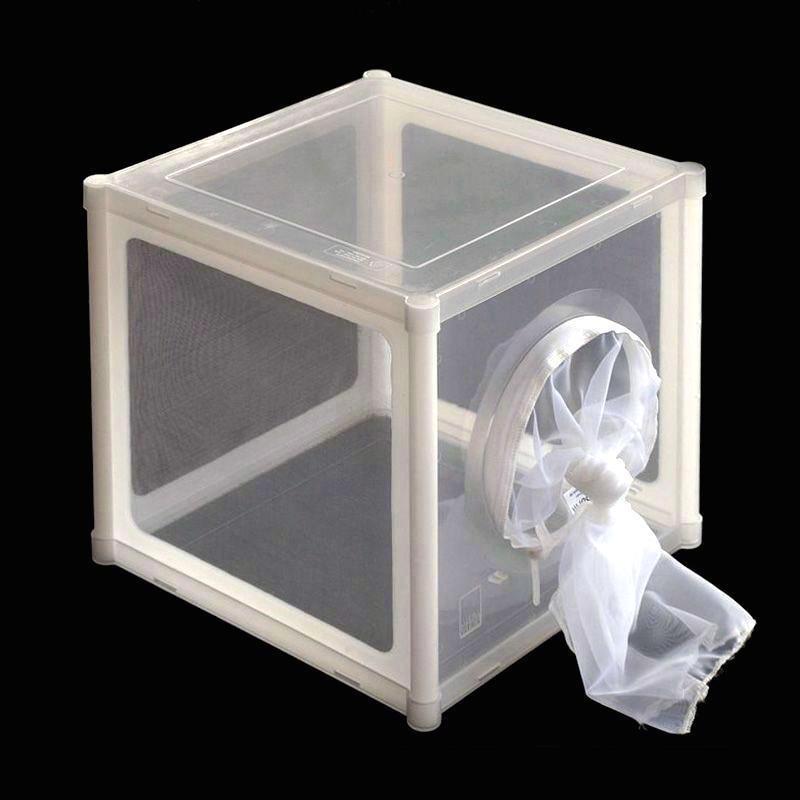 entoWIZ insect rearing cage for all kinds of insect rearing ...