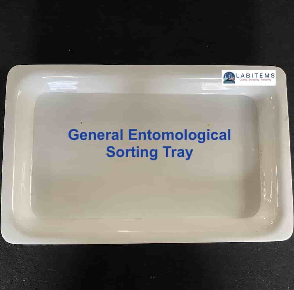 Entomological & Bug Sorting Trays - Lab & Field Use (USA)