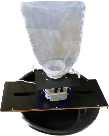 Mosquito egg collections, ovi trap, active gravid, gravid traps