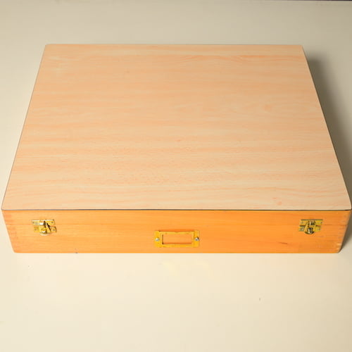 Insect storage cabinet for preserving insects