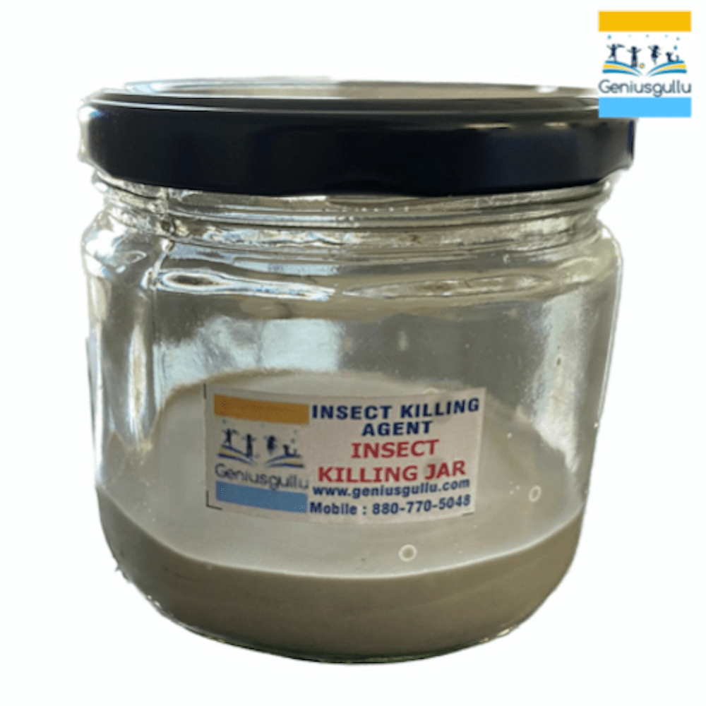 insect collection kit, student insect collection kit in United States ...