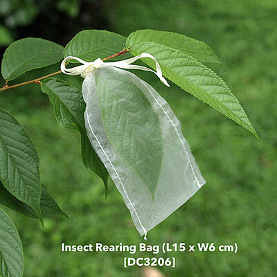 insect rearing bags for insect rearing and culturing on live plants in ...