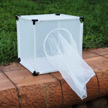 Insect Rearing Cage in Florida, Manipal, Chennai, Coimbatore, Bangalore ...