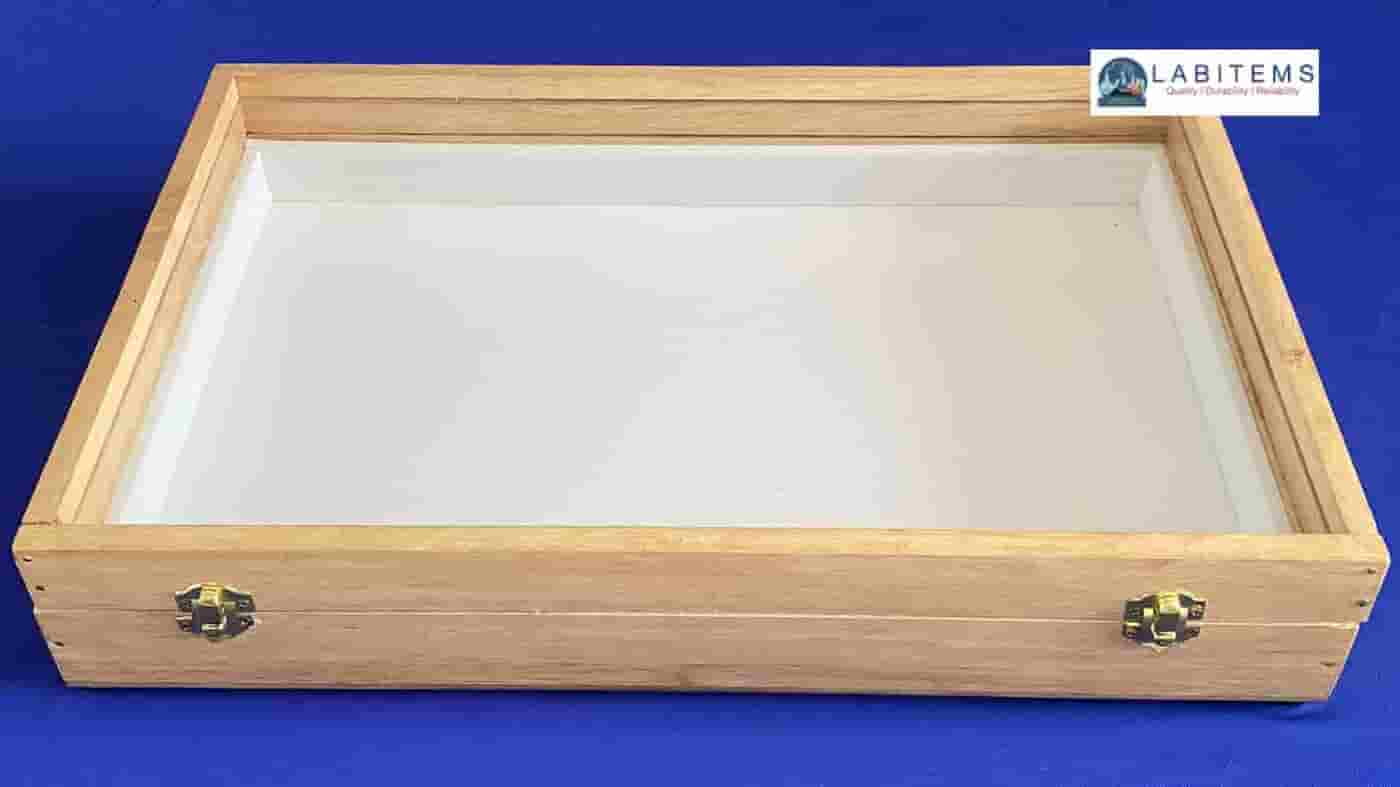 Insect Storage Box for displaying and studying insects