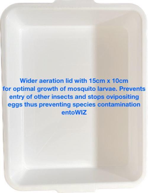 Mosquito larval rearing tray in Africa, south africa, Nairobi, Egypt ...