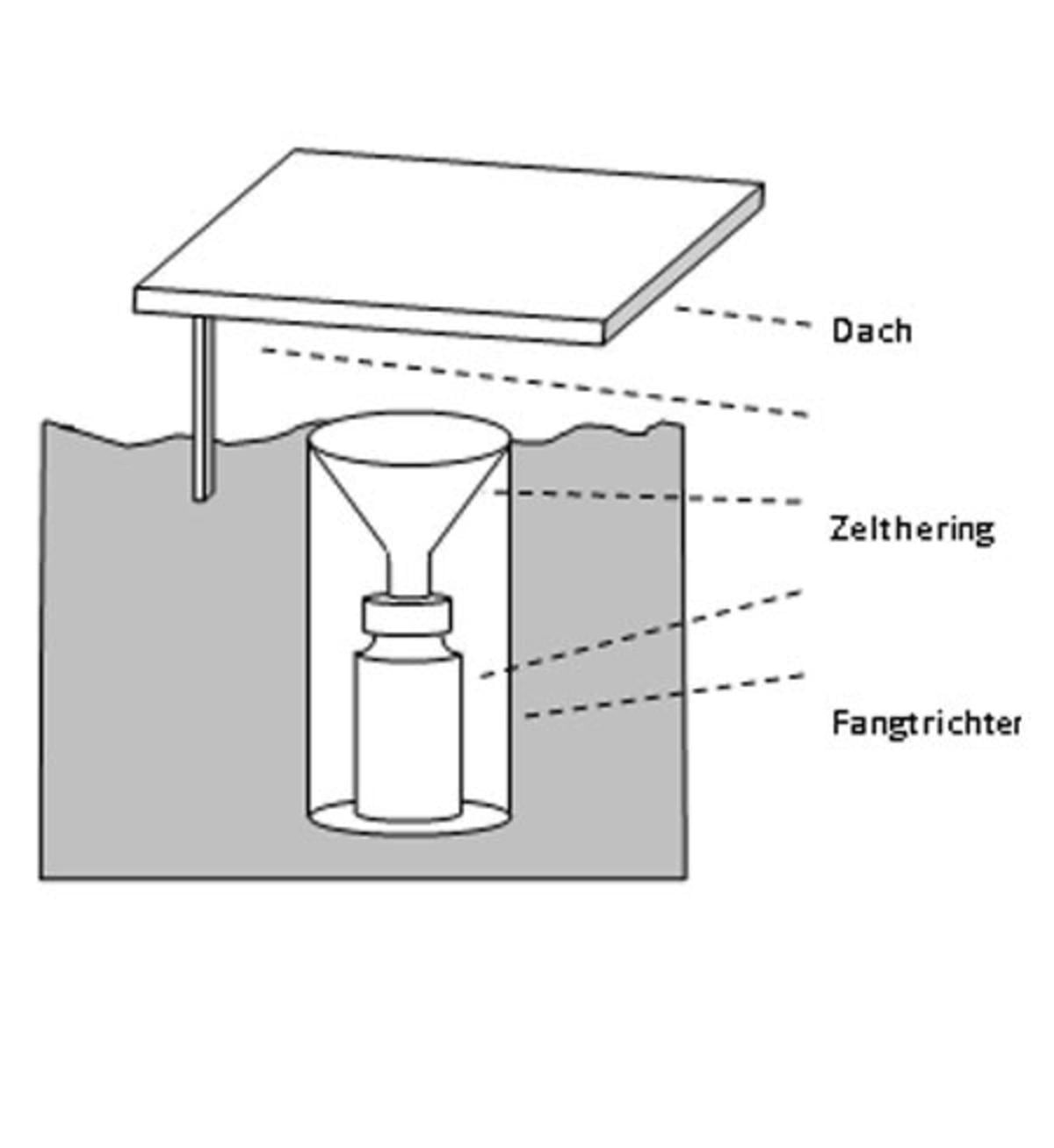 pitfall traps for crawling insects in California, Sandiago, Florida ...