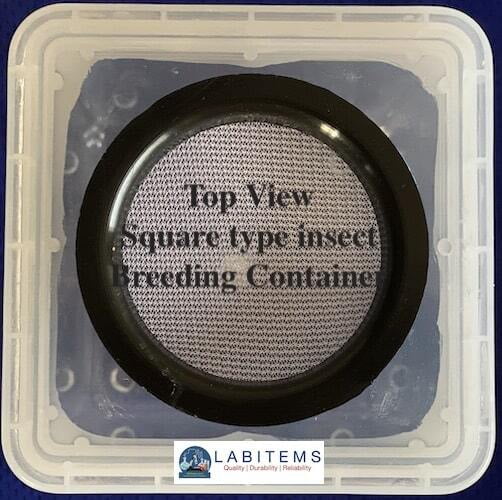 Insect breeding containers for rearing insect colonies and cultures