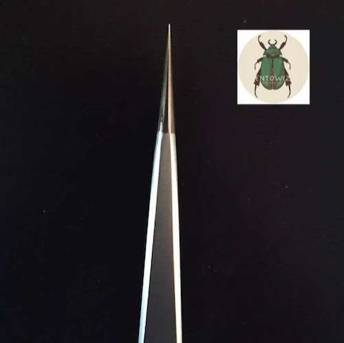 entomological forceps for handling small and large insects with ...