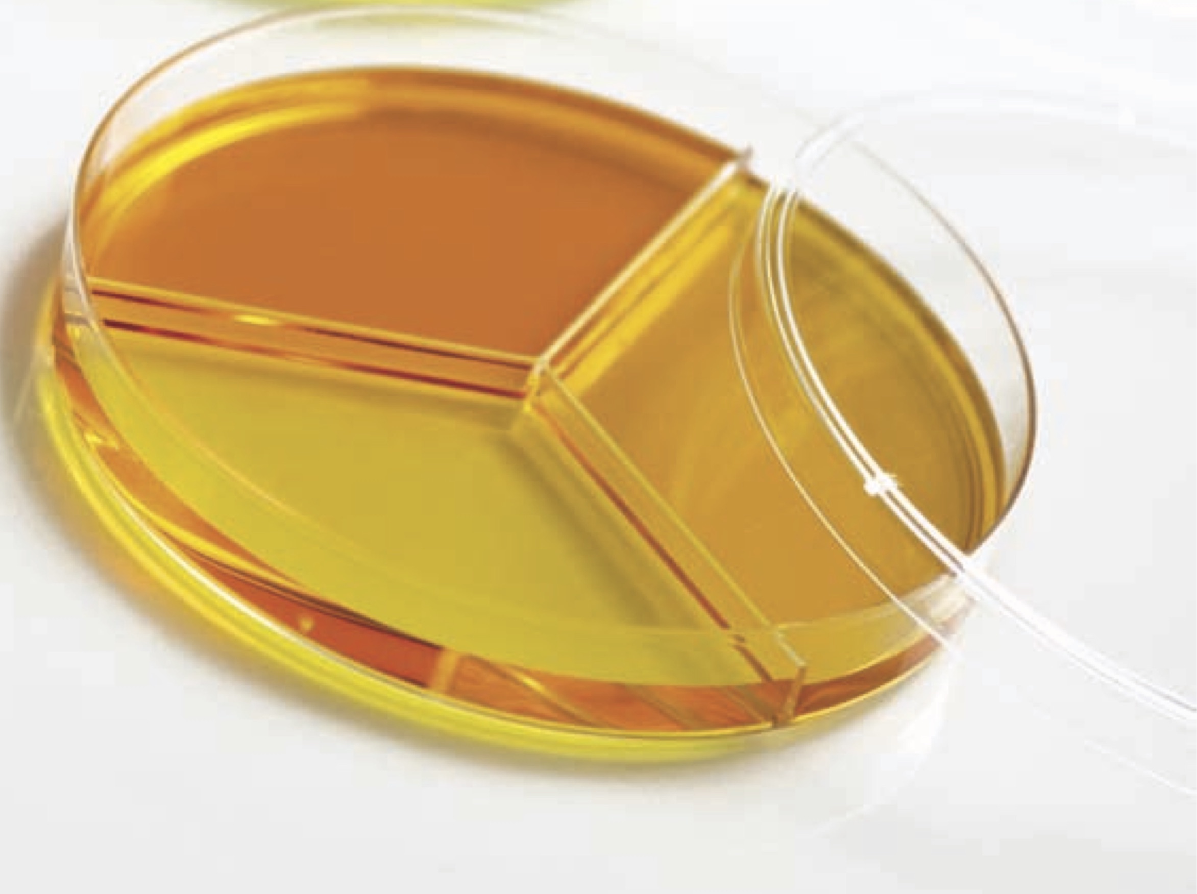 Petri Dish 90mm, 3 compartment, ETO Sterile, Individual Packing (100 ...