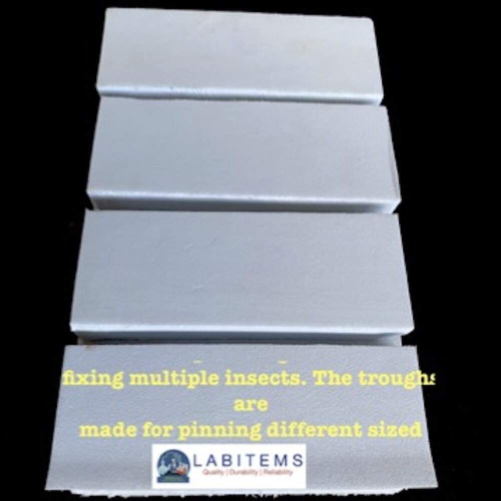 Discover Top-Quality Insect Spreading Boards: Find the Perfect Mounting ...