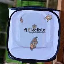 flekcible insect rearing cages for easy and durable use