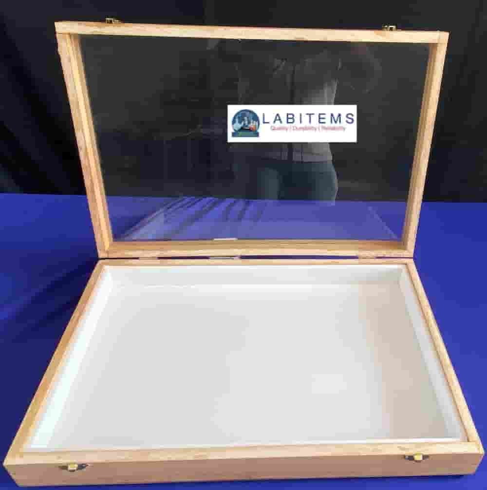 Insect Storage Box for displaying and studying insects