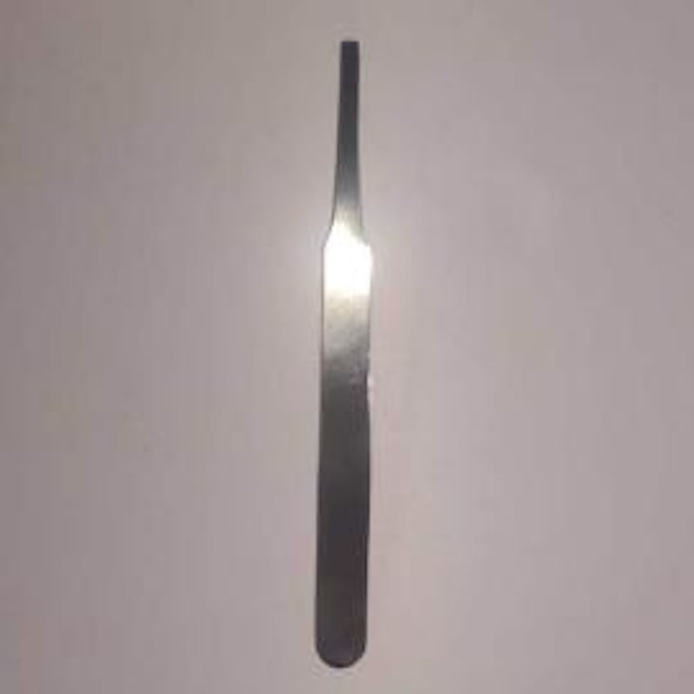 Entomological Forceps 12.5 cm Round Wide Blunt Tip – Safe Handling of ...